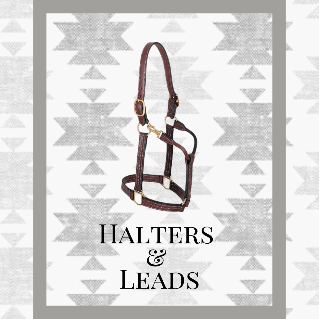 Halters, Leads & Lunges – K&K Livestock Co.