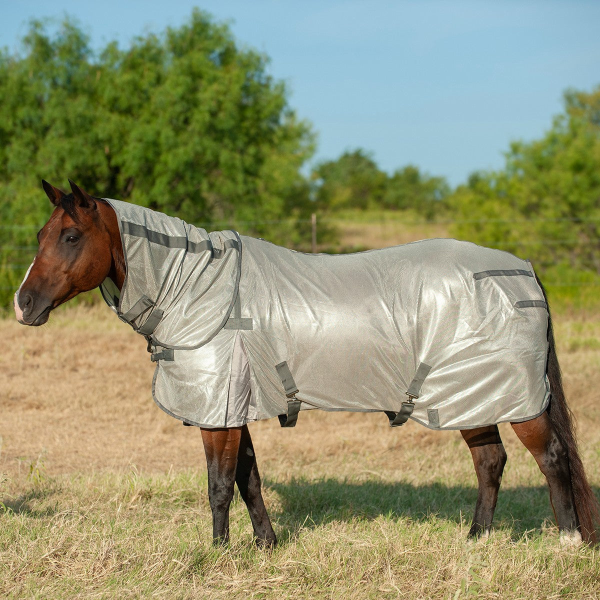 Econo Fly Sheet w/ Neck Guard – K&K Livestock Co.